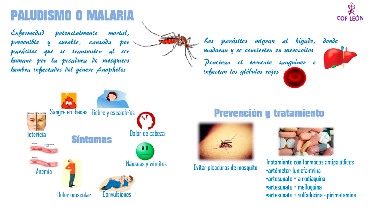 Paludismo | COF León