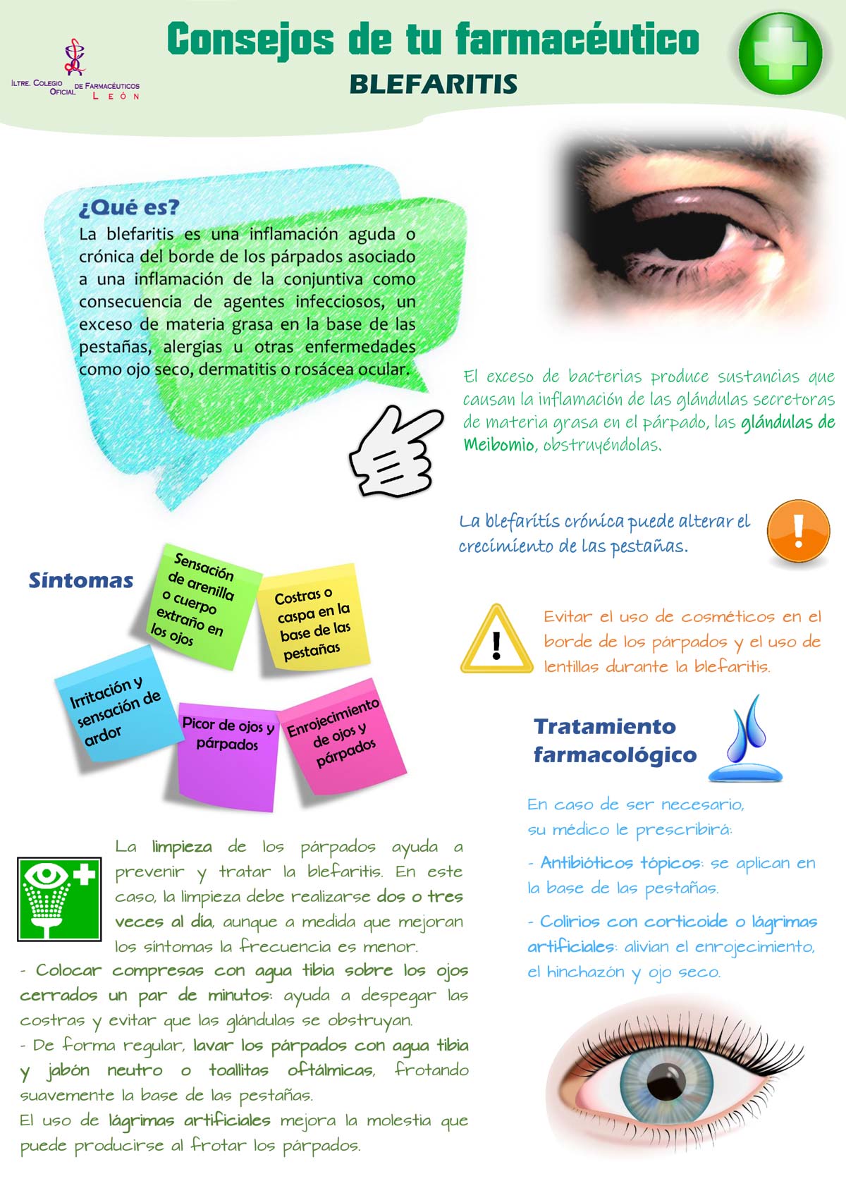 Blefaritis | COF León