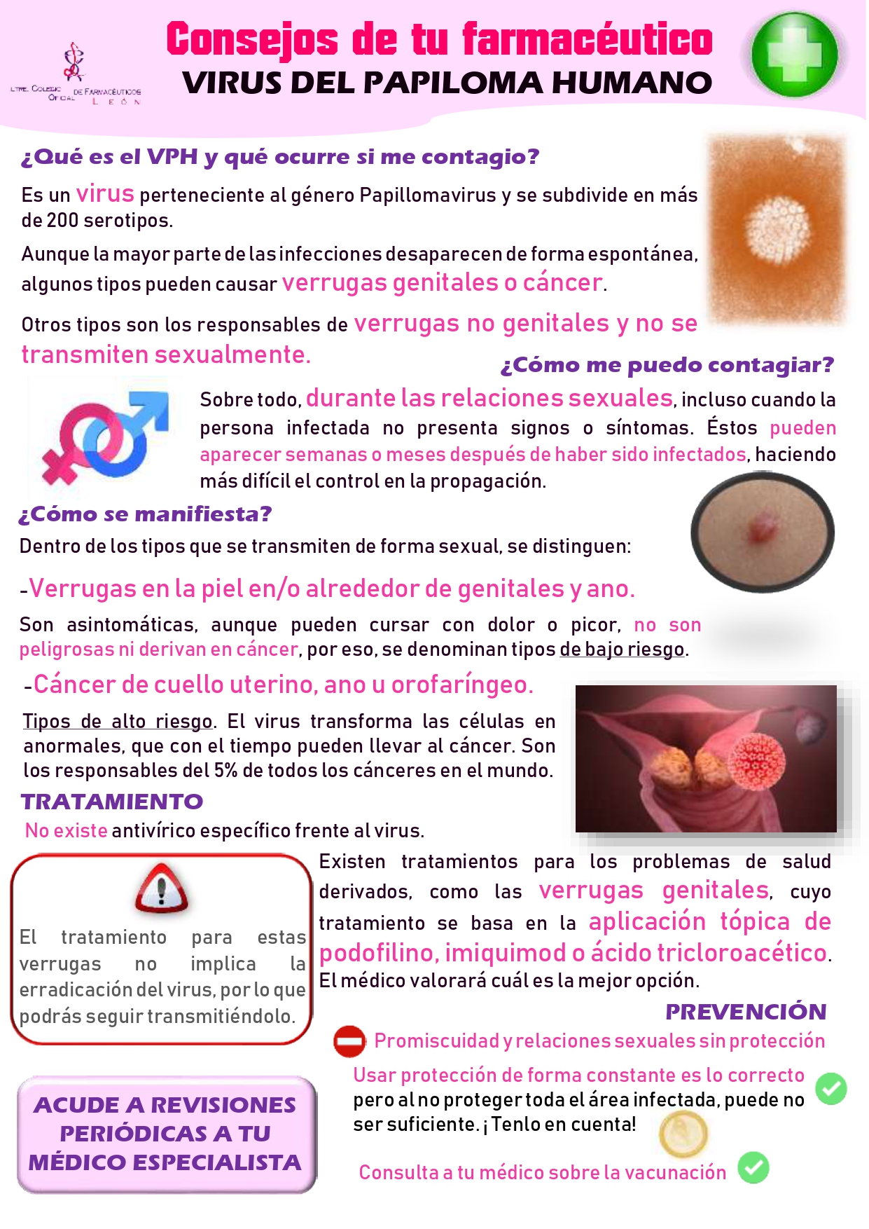 Virus del Papiloma Humano | COF León