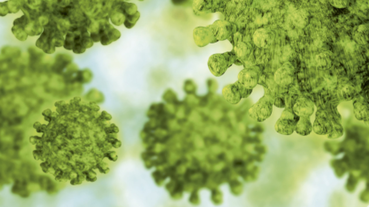 El papel de la farmacia ante la infección del COVID19 | COF León